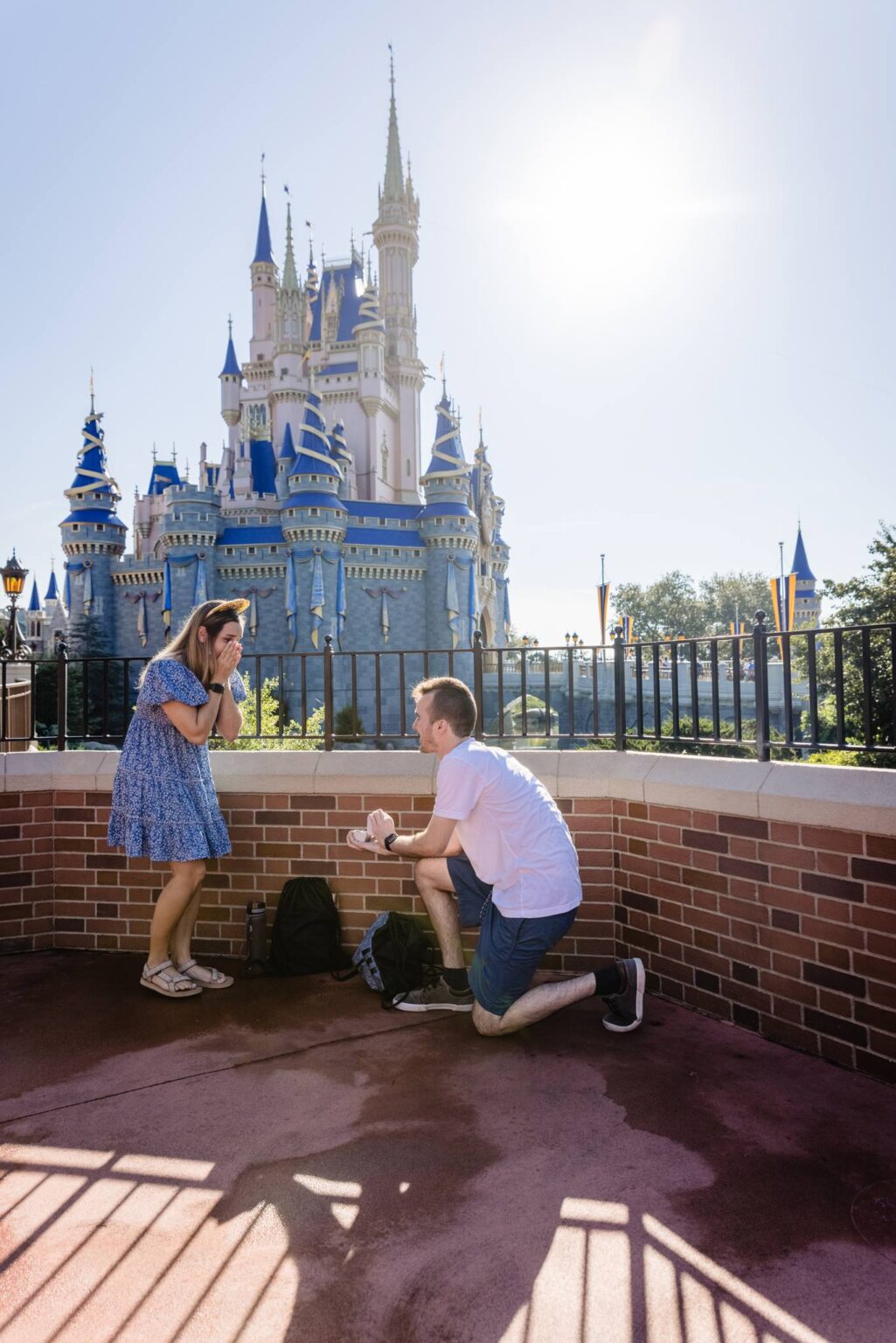 Where to Propose in Orlando 2024 edition